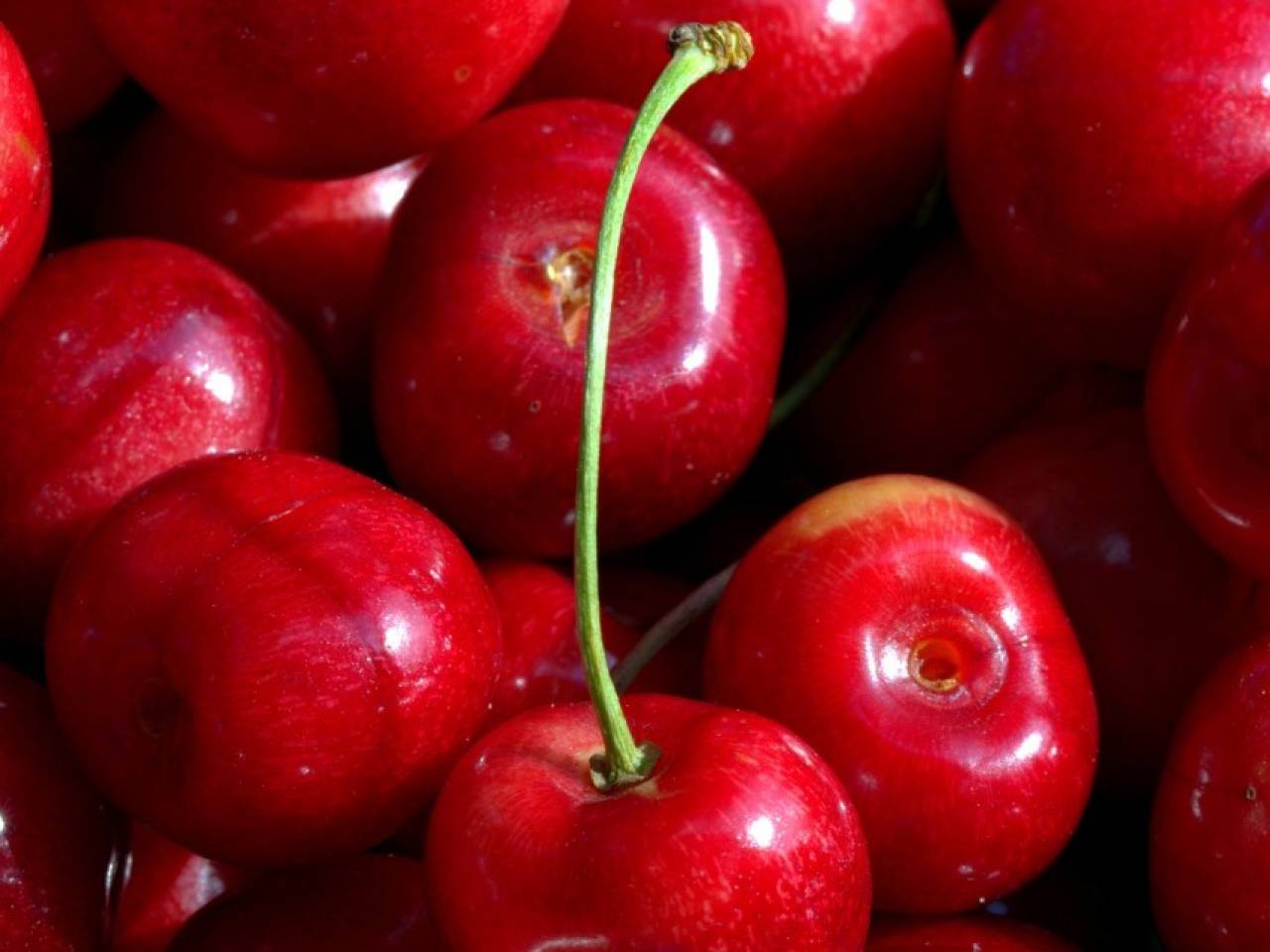 Hapag-Lloyd Quiz: Cherry Express - Hapag-Lloyd