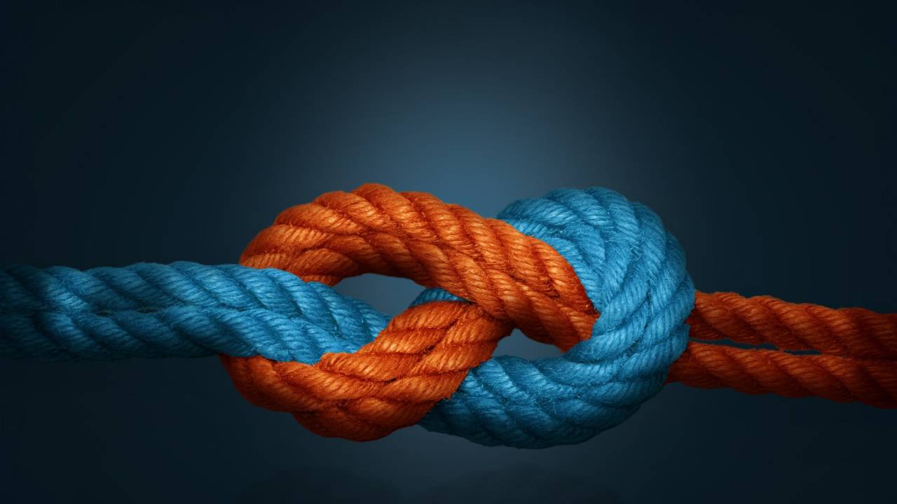 ocean network schedule