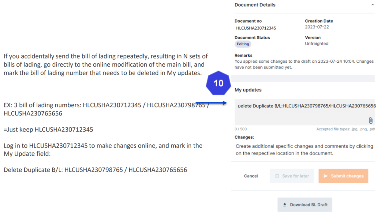 BLDC online - Guidelines - Hapag-Lloyd